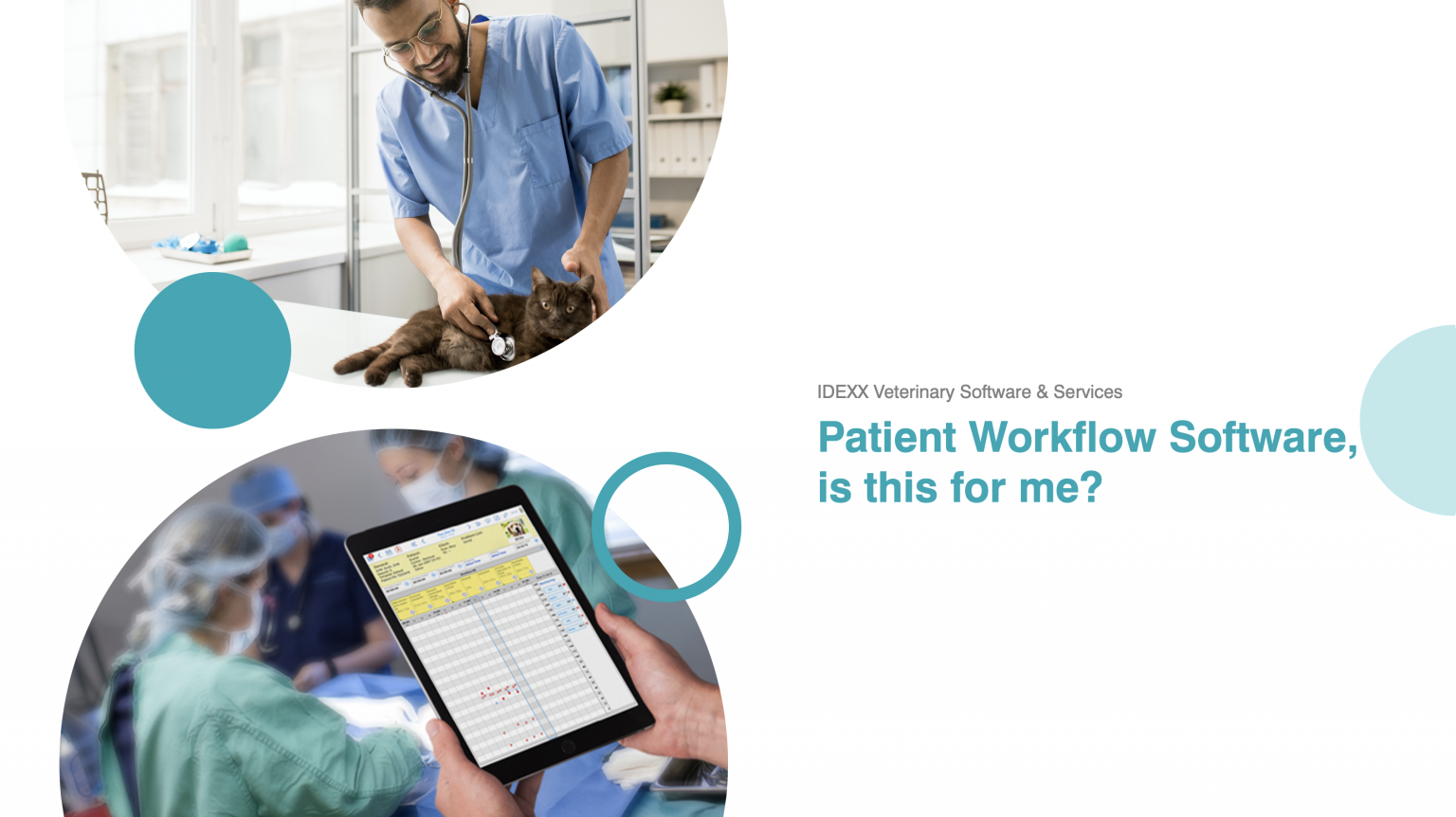 Training - IDEXX Software