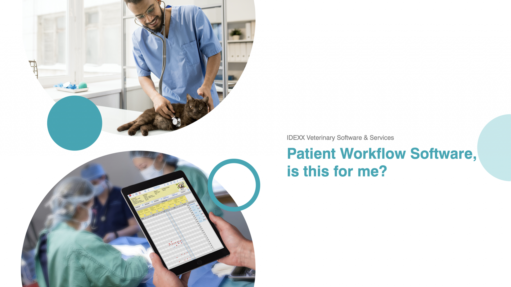 Training - IDEXX Software