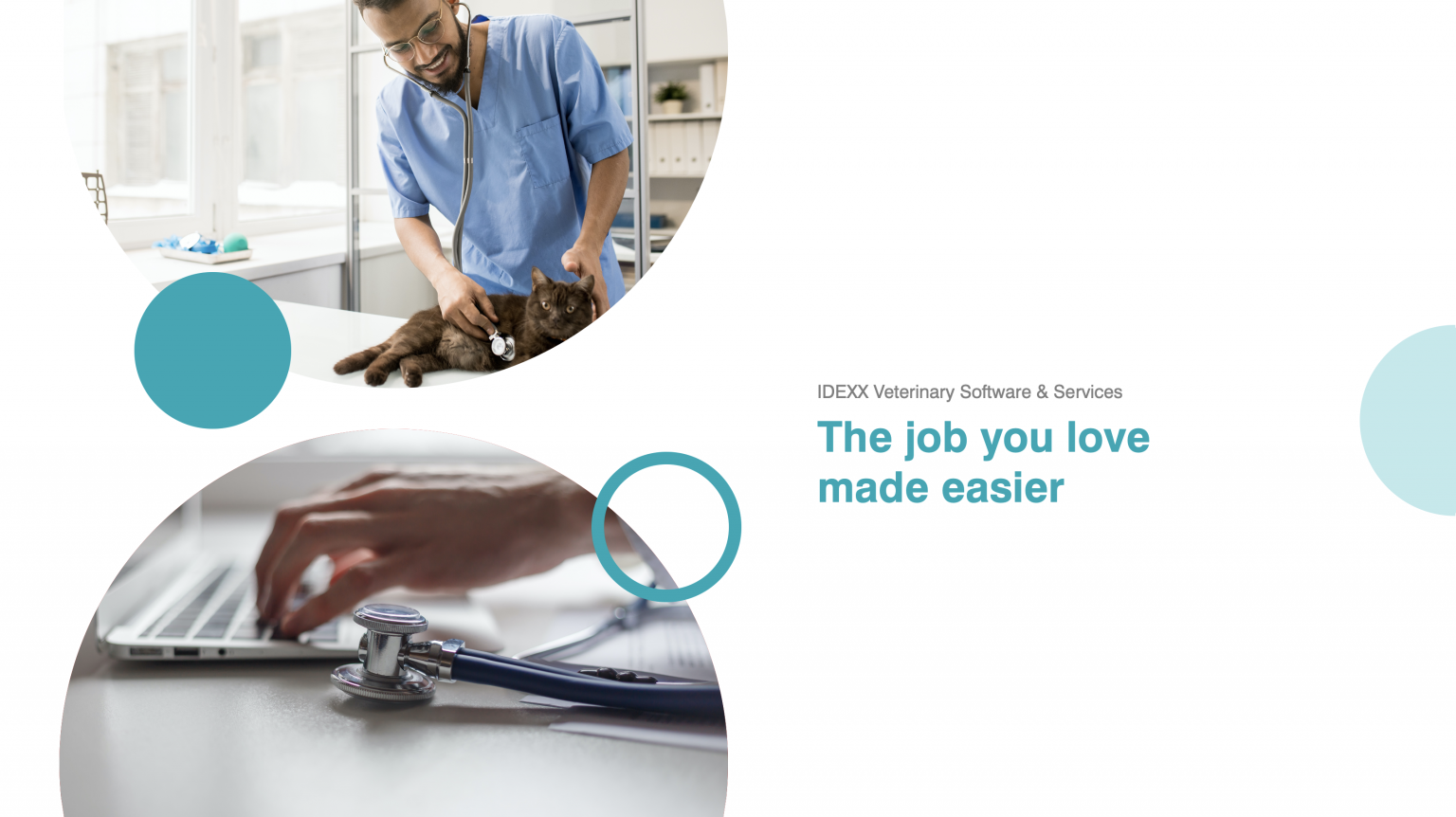 Training - IDEXX Software