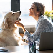 Training - IDEXX Software