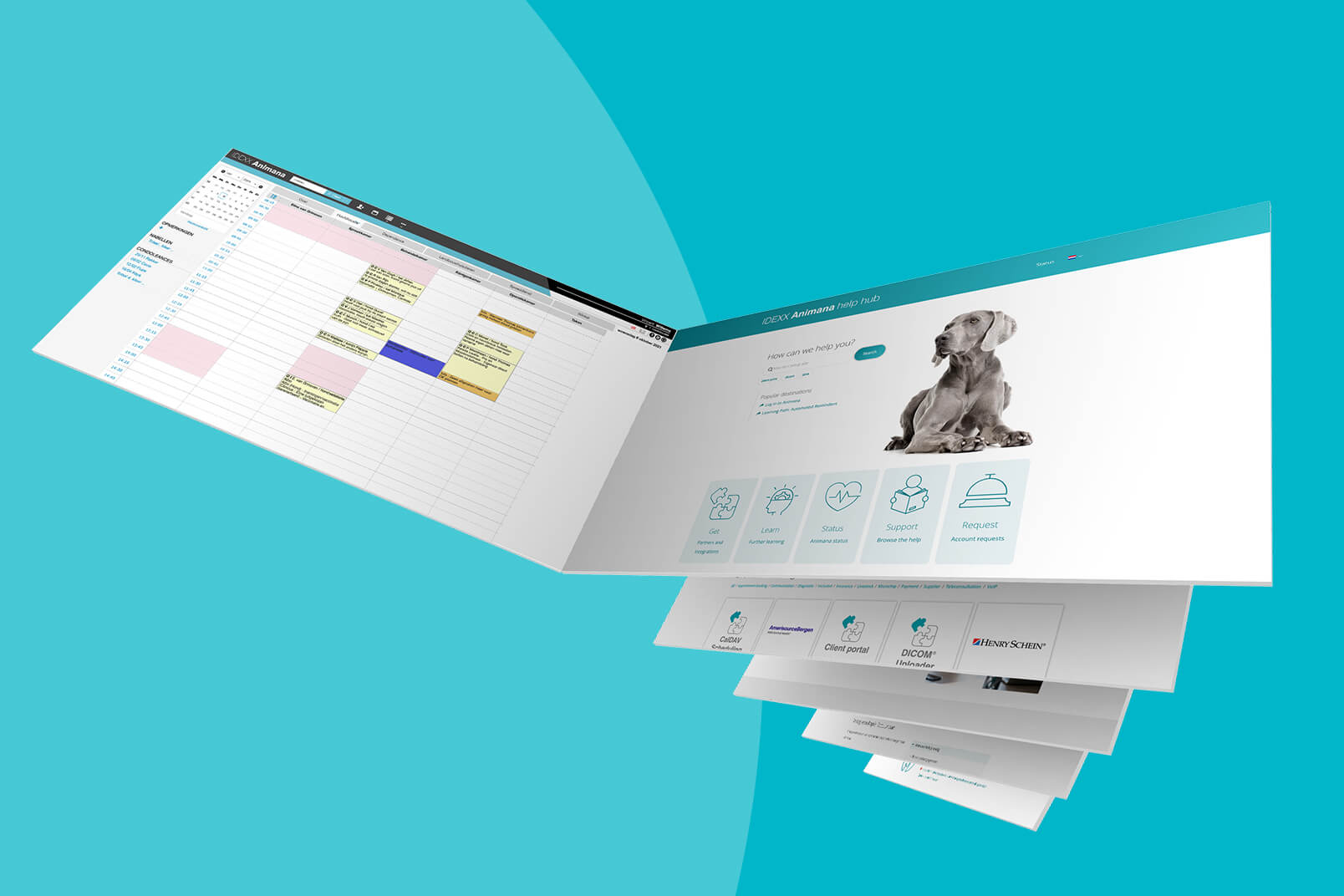 Discover the Animana help hub - IDEXX Software
