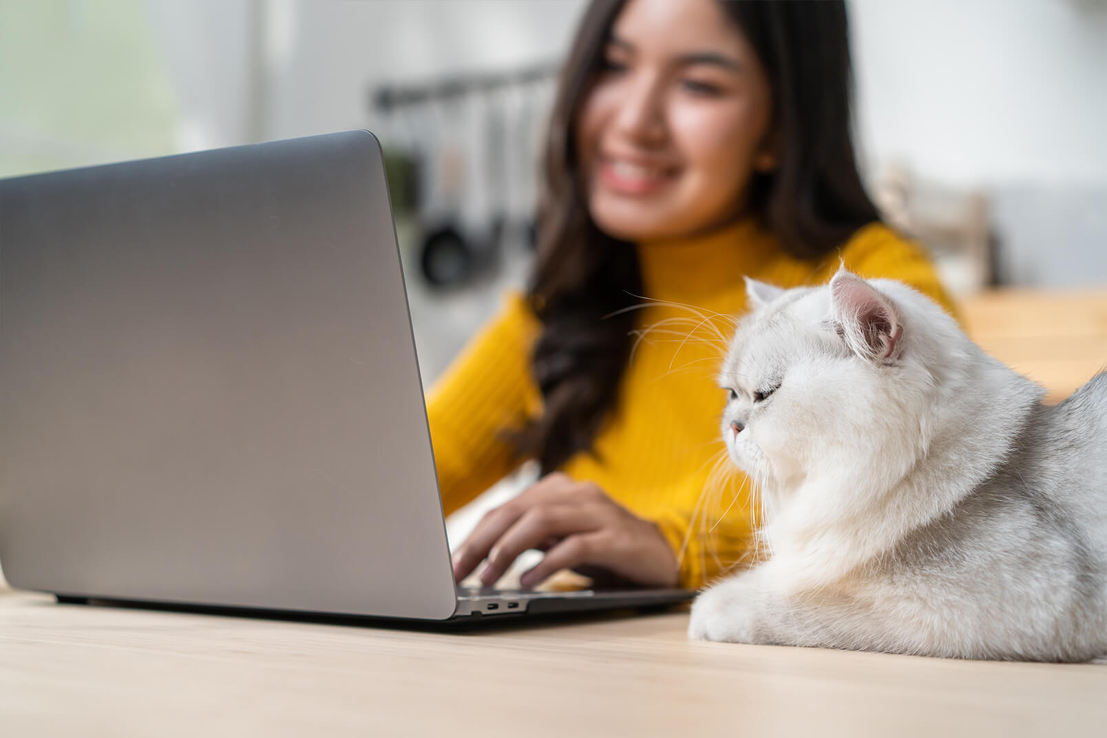 Zo heb jij de volledige controle over Animana - IDEXX Software