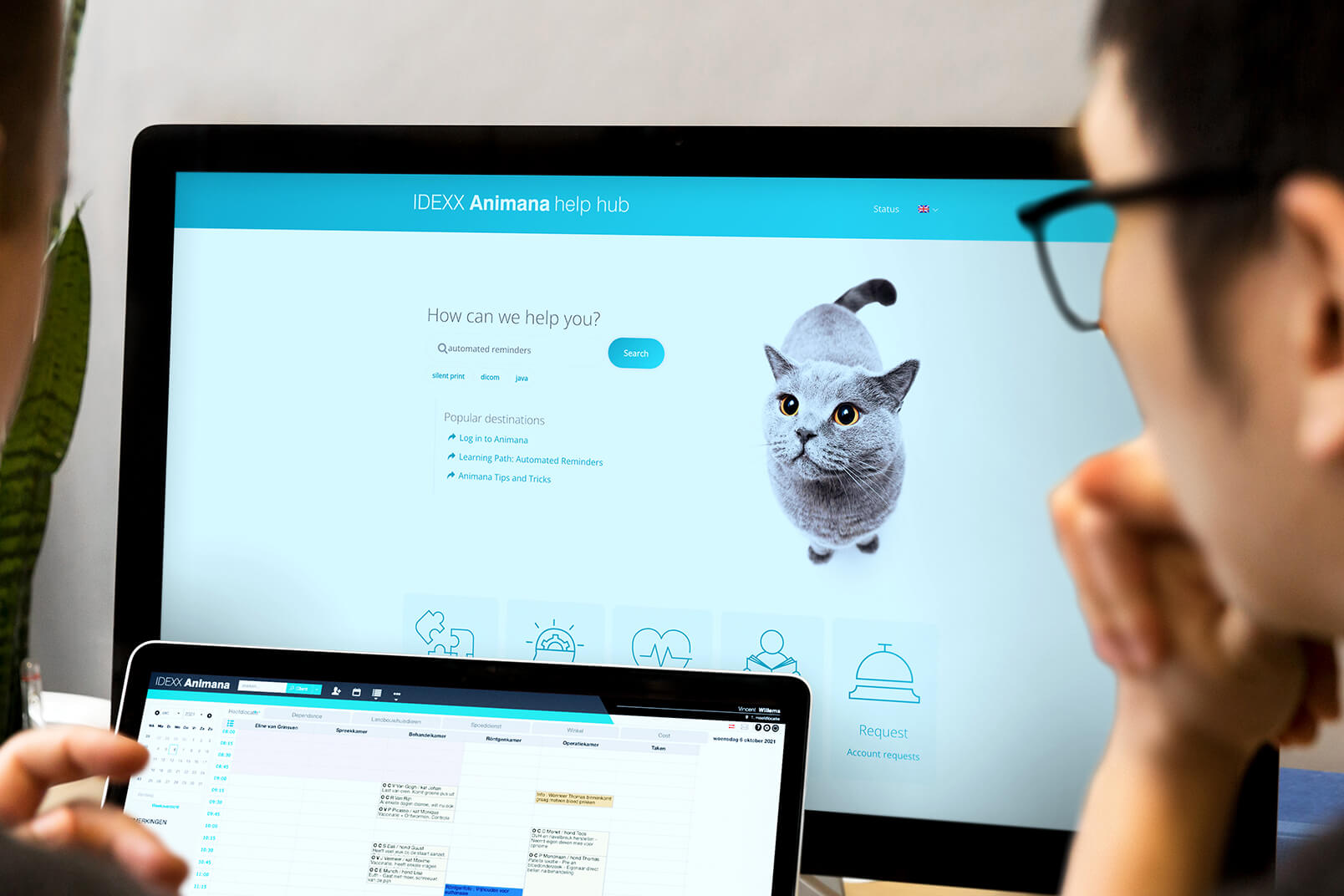 Animana help hub – new features for Q4 2022 - IDEXX Software