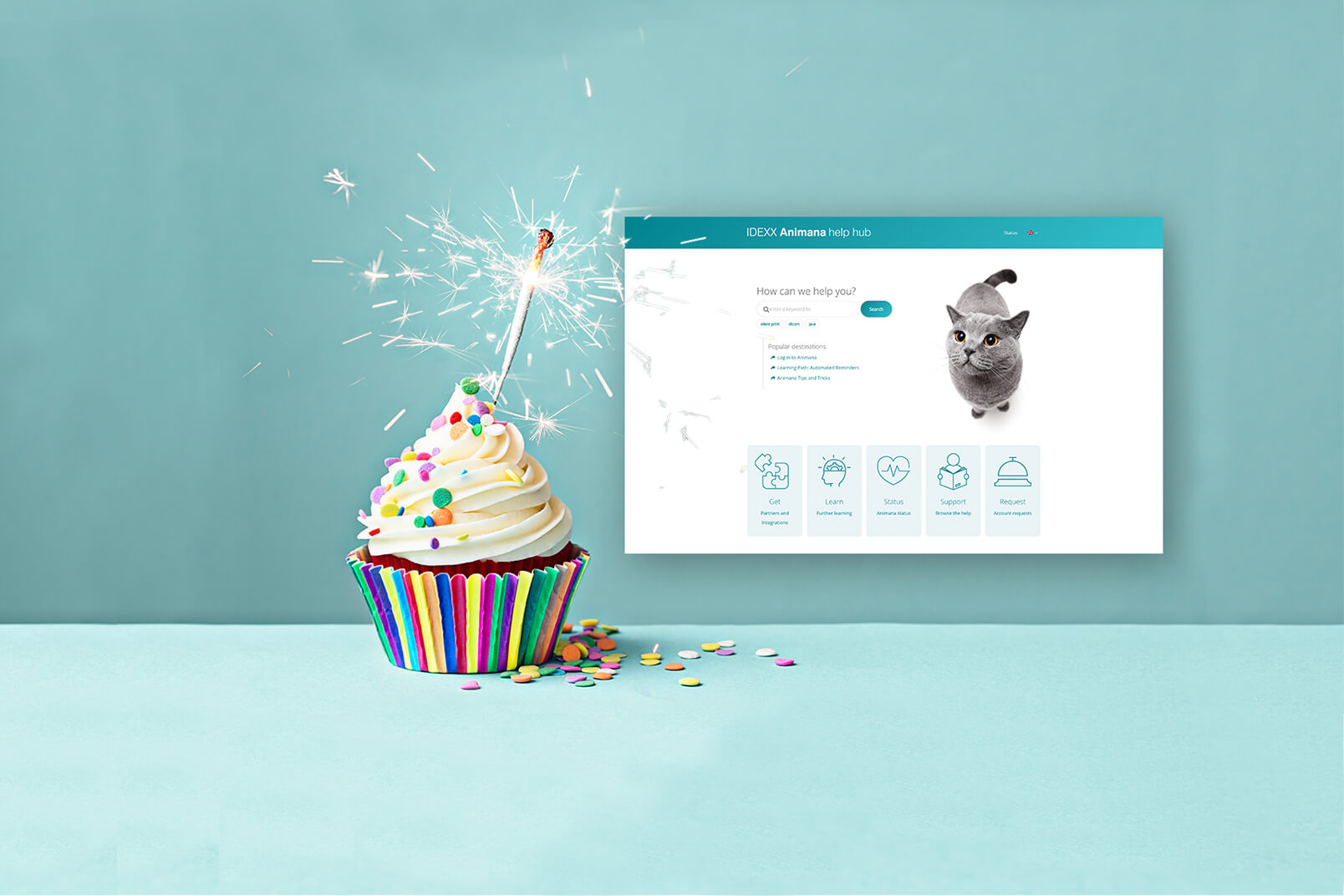 One year of the Animana help hub - IDEXX Software