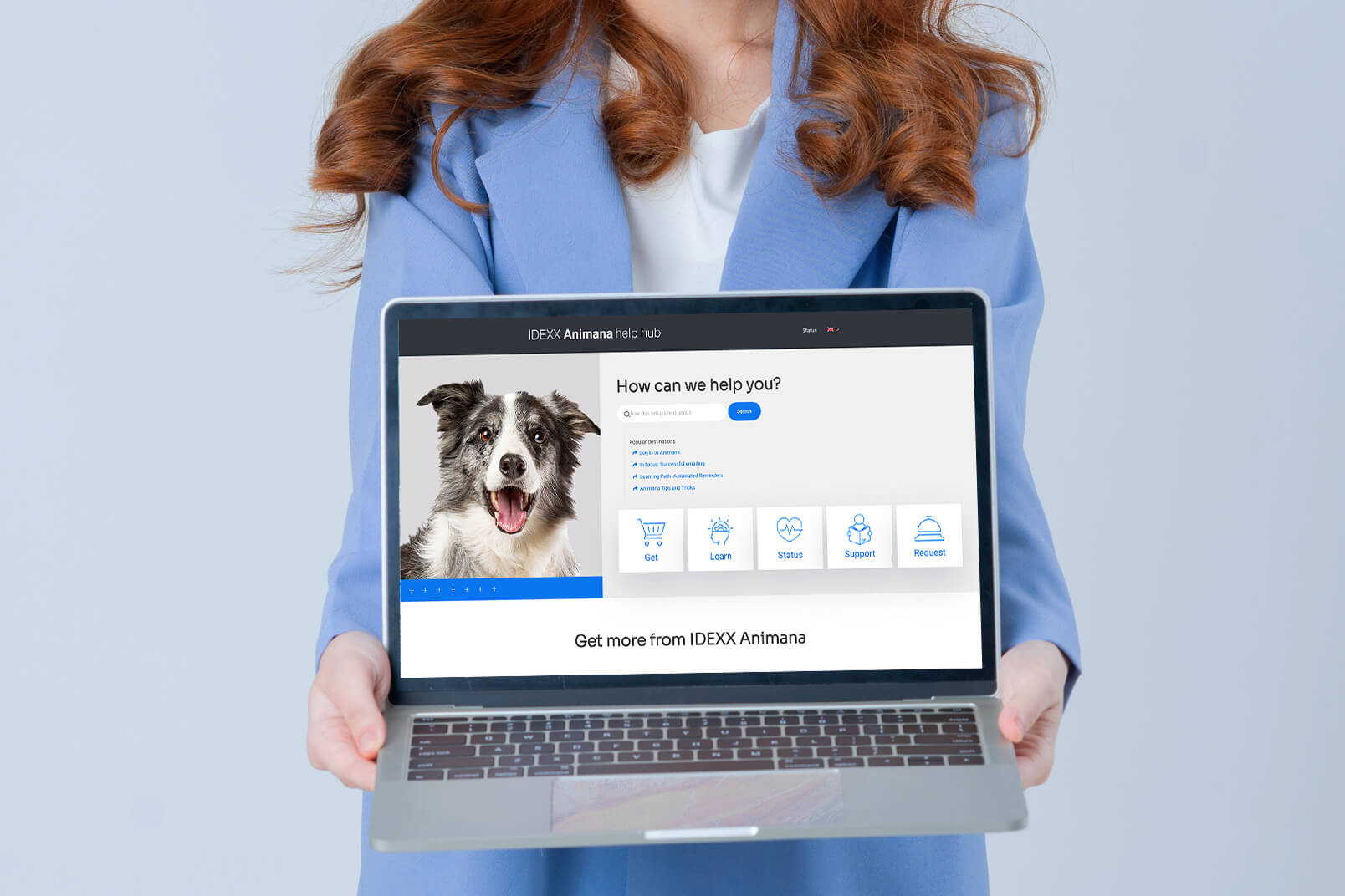 Animana help hub – new features for Q4 2023 - IDEXX Software