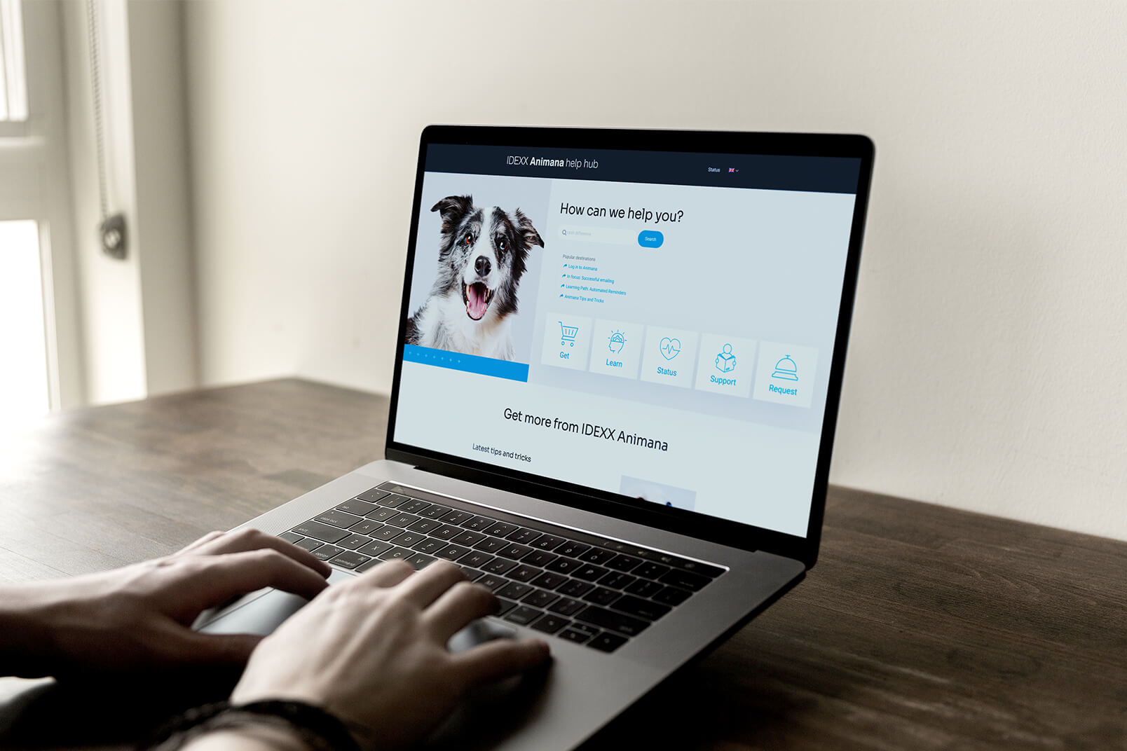 Animana help hub – new features for Q1 2024 - IDEXX Software
