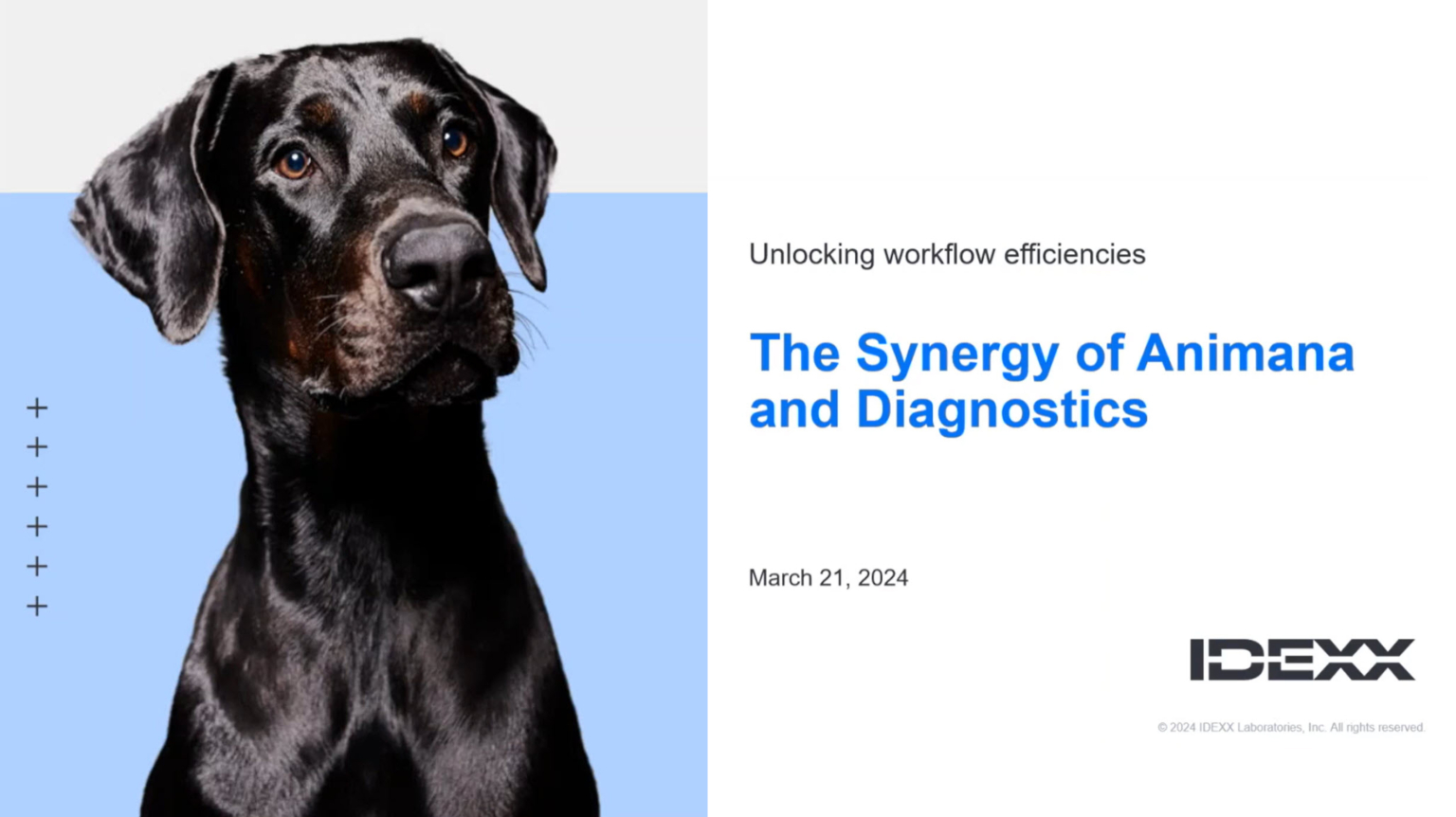 Training - IDEXX Software