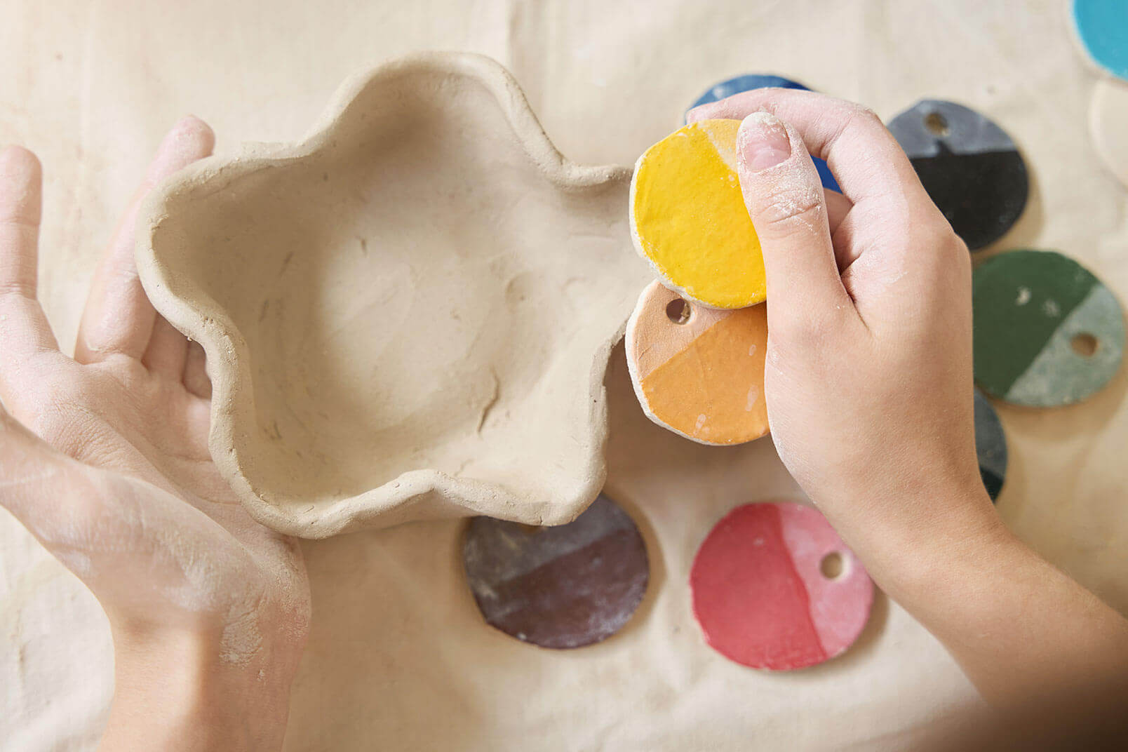 How feedback shapes Animana: a practical example - IDEXX Software