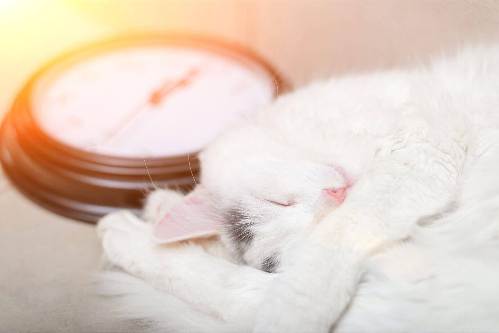 Maximising Efficiency: Effective Time Management Strategies for Your ...