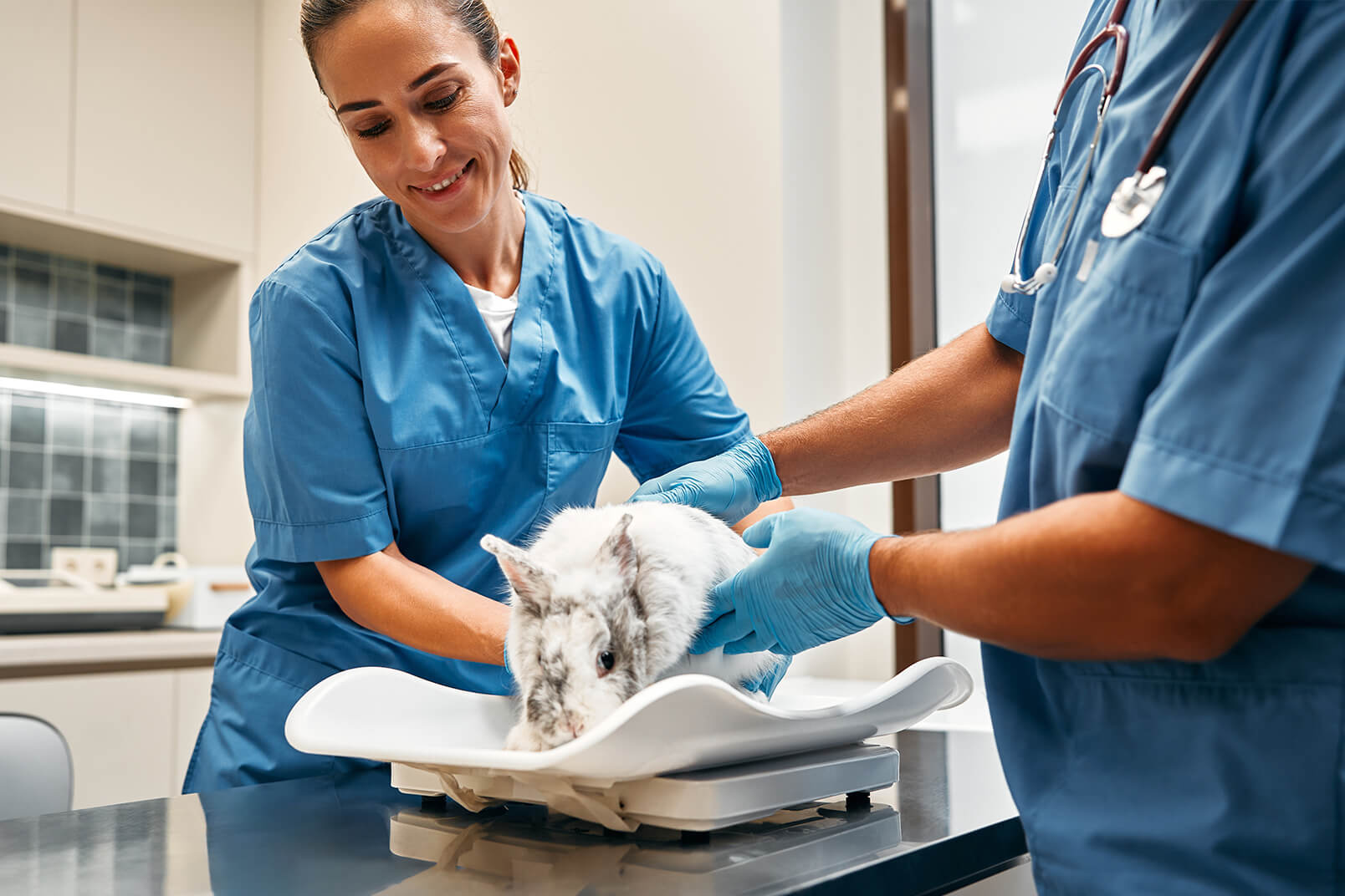 Top tips for retaining veterinary staff - IDEXX Software